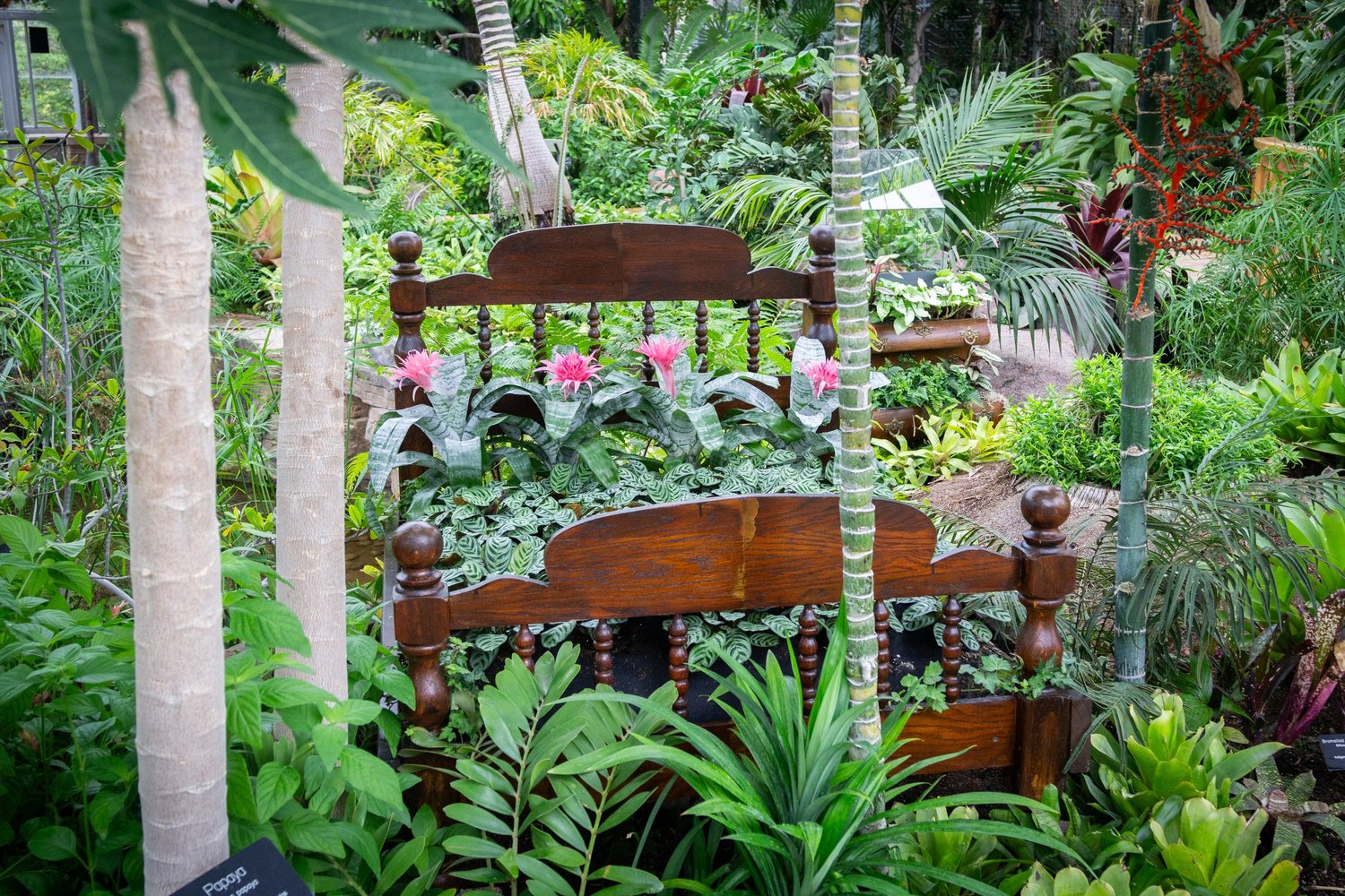 Growing Home — Nicholas Conservatory & Gardens