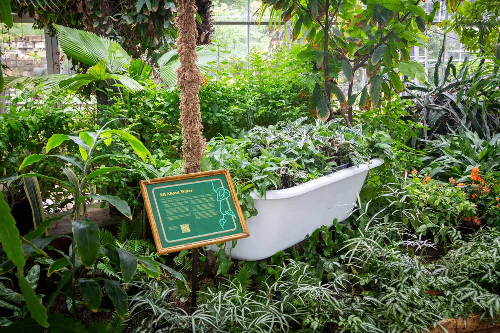 Growing Home — Nicholas Conservatory & Gardens