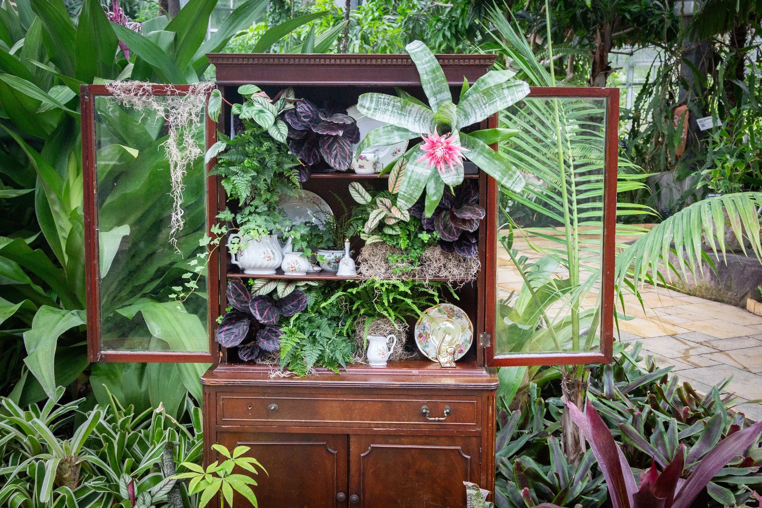 Growing Home — Nicholas Conservatory & Gardens