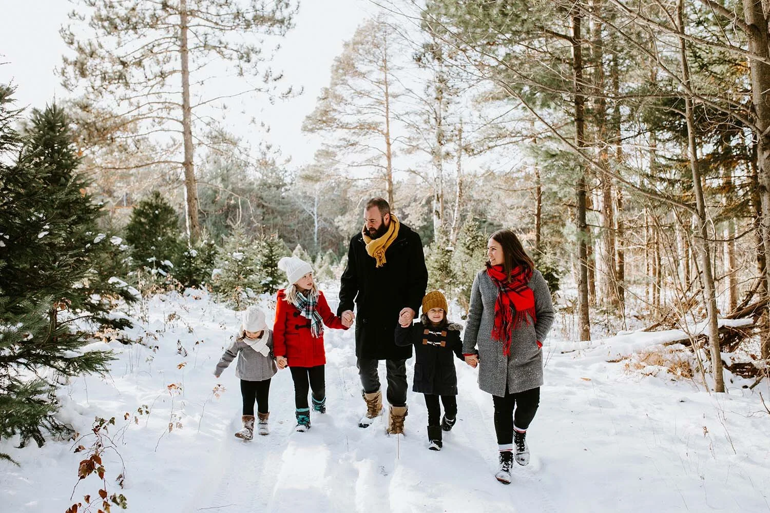 5 Ways To Set Up Your Christmas Mini Sessions For A Win — CopperRed ...