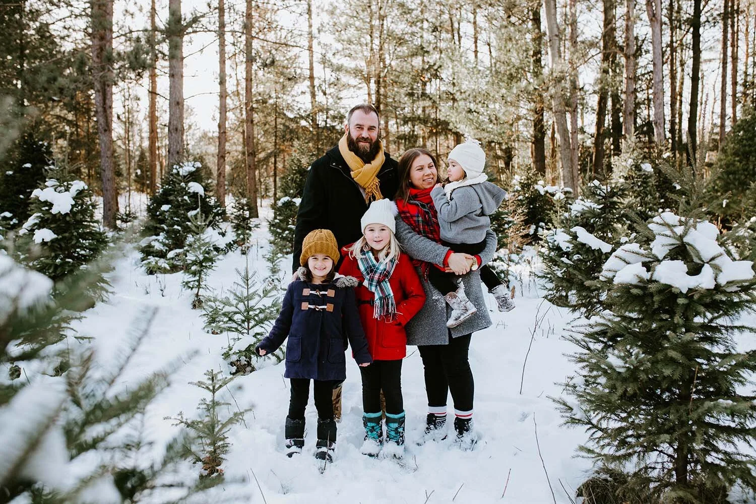 5 Ways To Set Up Your Christmas Mini Sessions For A Win — CopperRed ...