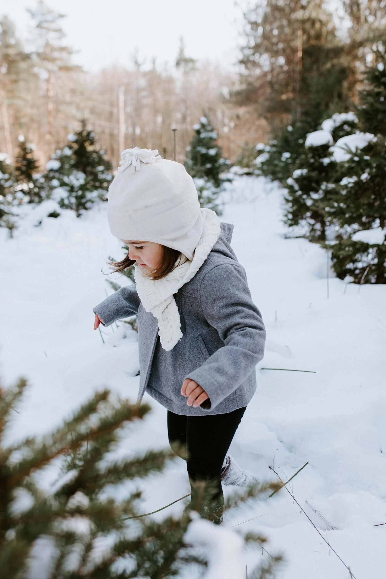 5 Ways To Set Up Your Christmas Mini Sessions For A Win — CopperRed ...