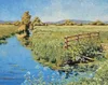 Pat Scott — Clevedon Art Club