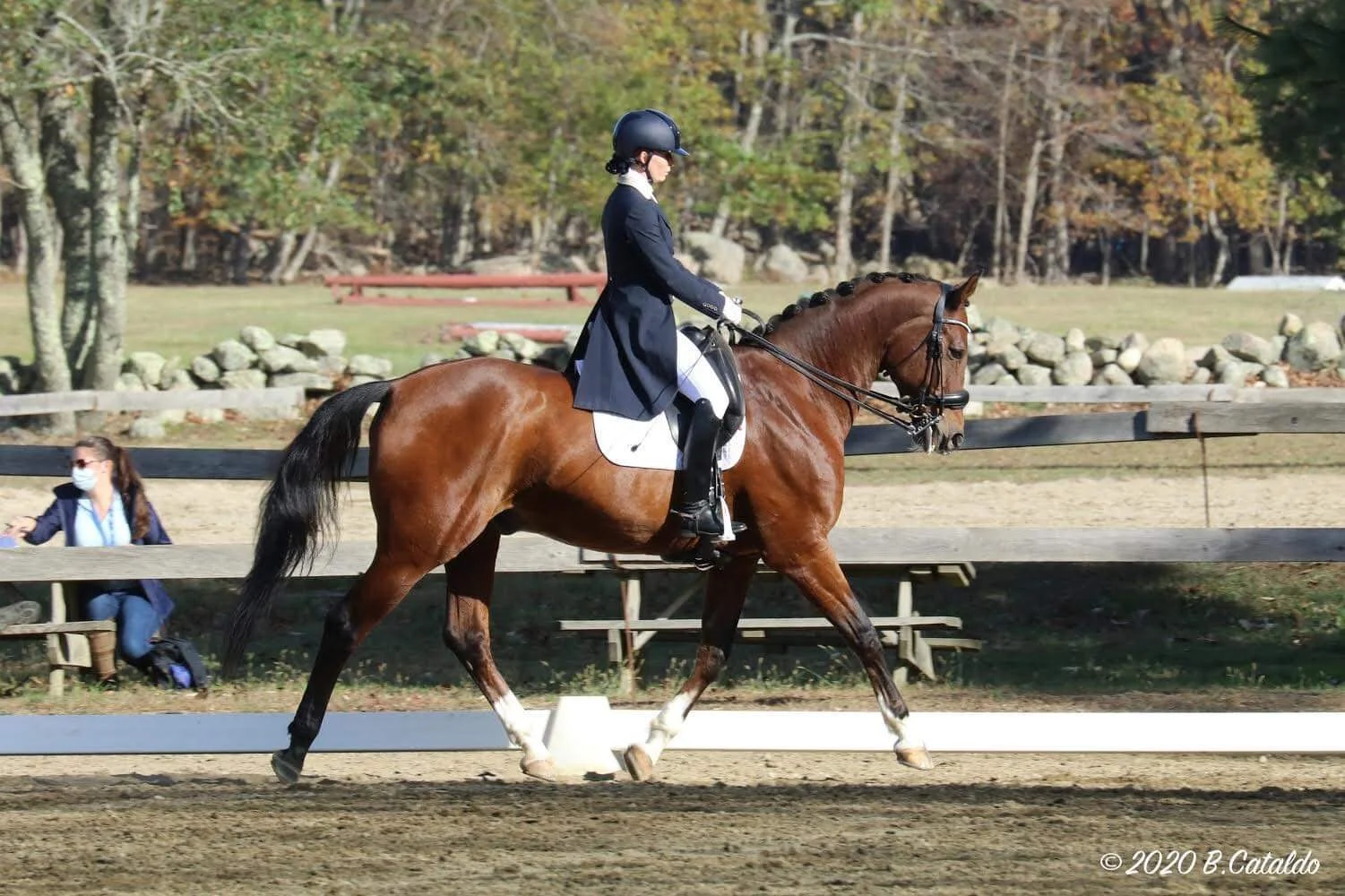 Jordan Rothman Dressage — Water's Edge Equestrian Center