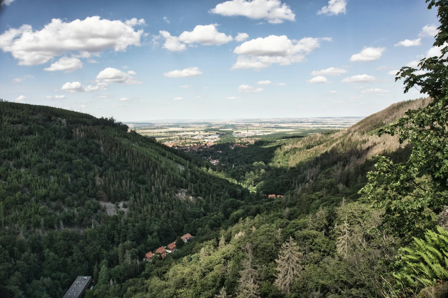 Seattle ECA — Josh Brincko