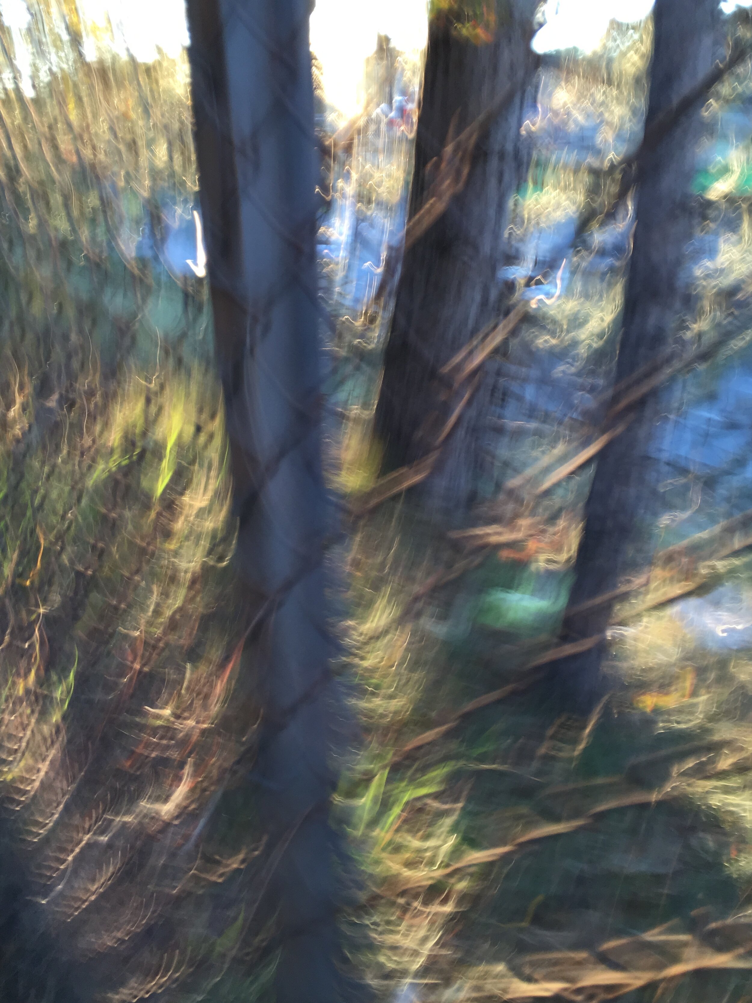 fences — eureka studios