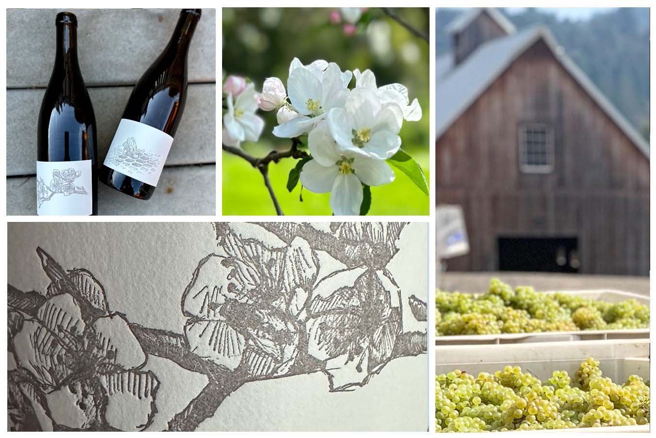 the wine — big table farm