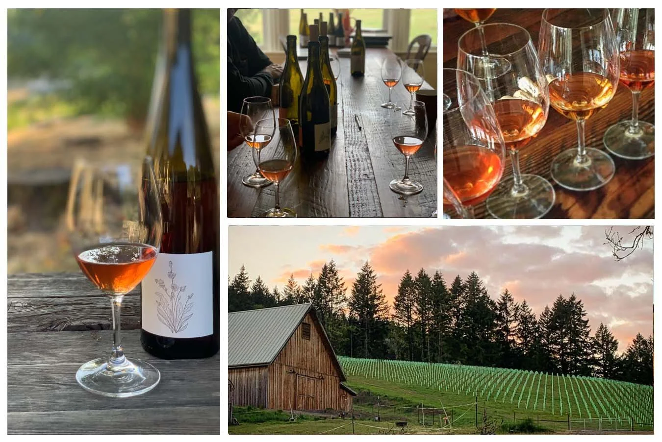 the wine — big table farm