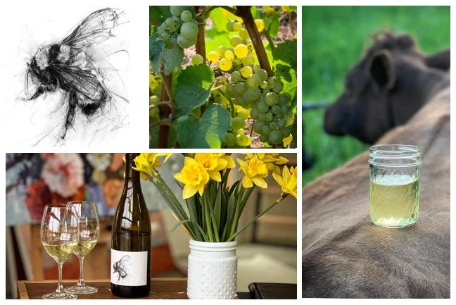 the wine — big table farm