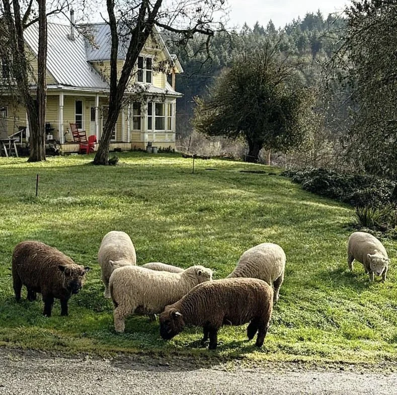 Farm Blog
