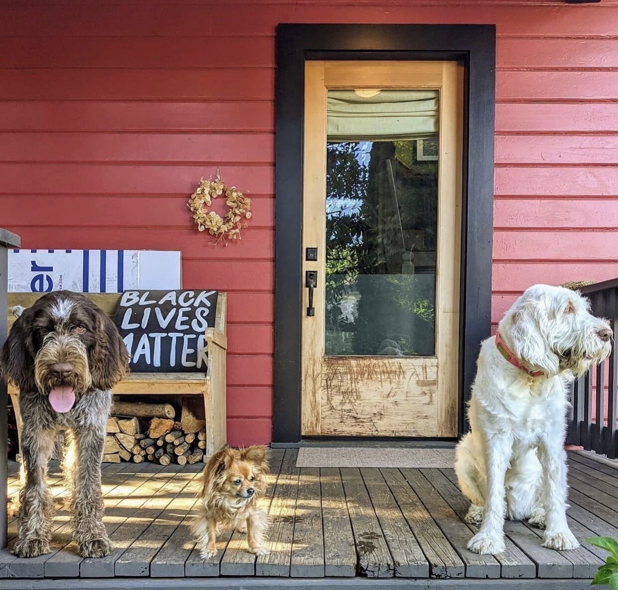 Services and Rates — Dog Star Walkers Portland