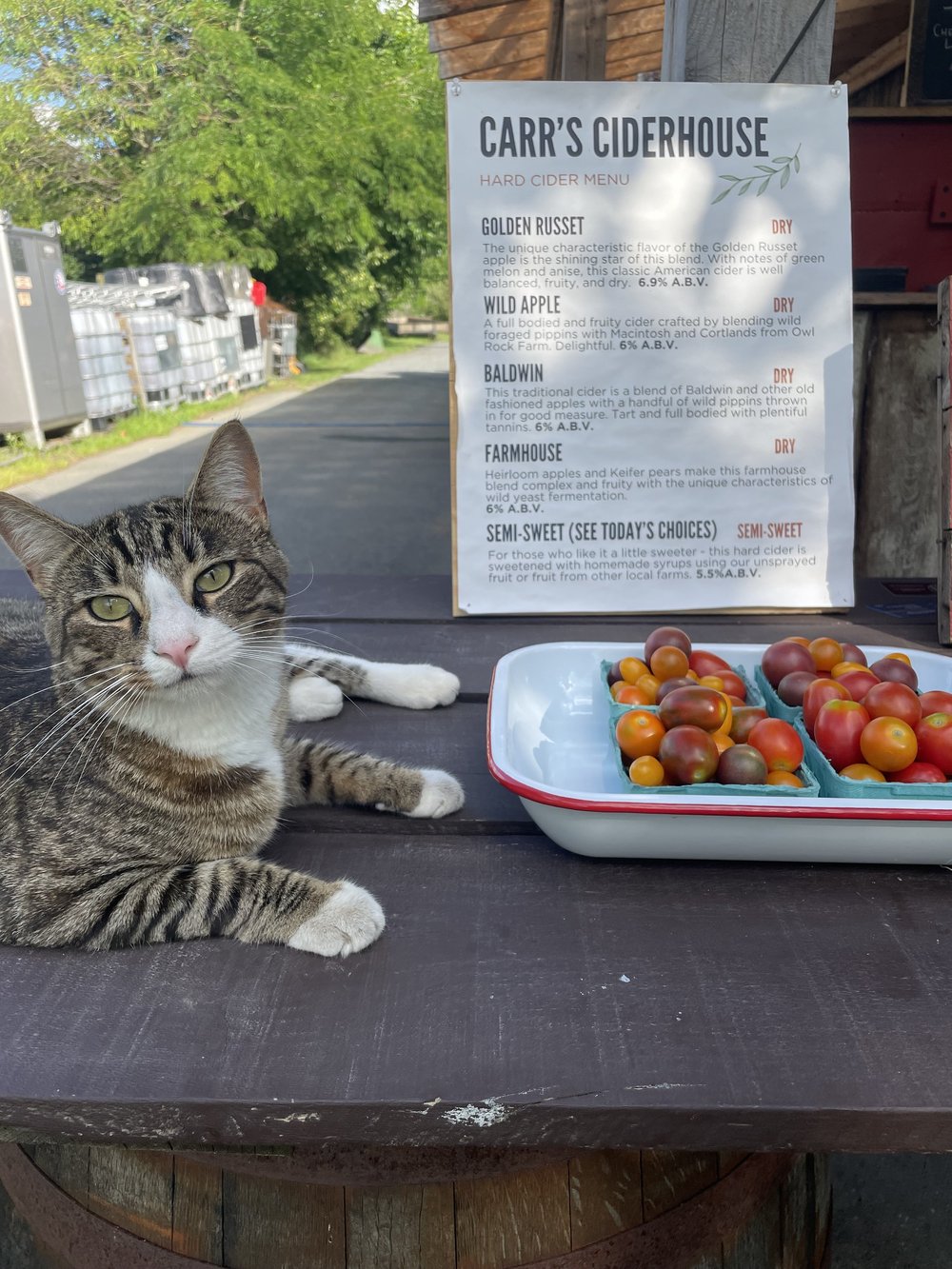 Cider Garden Bar — Carr's Ciderhouse