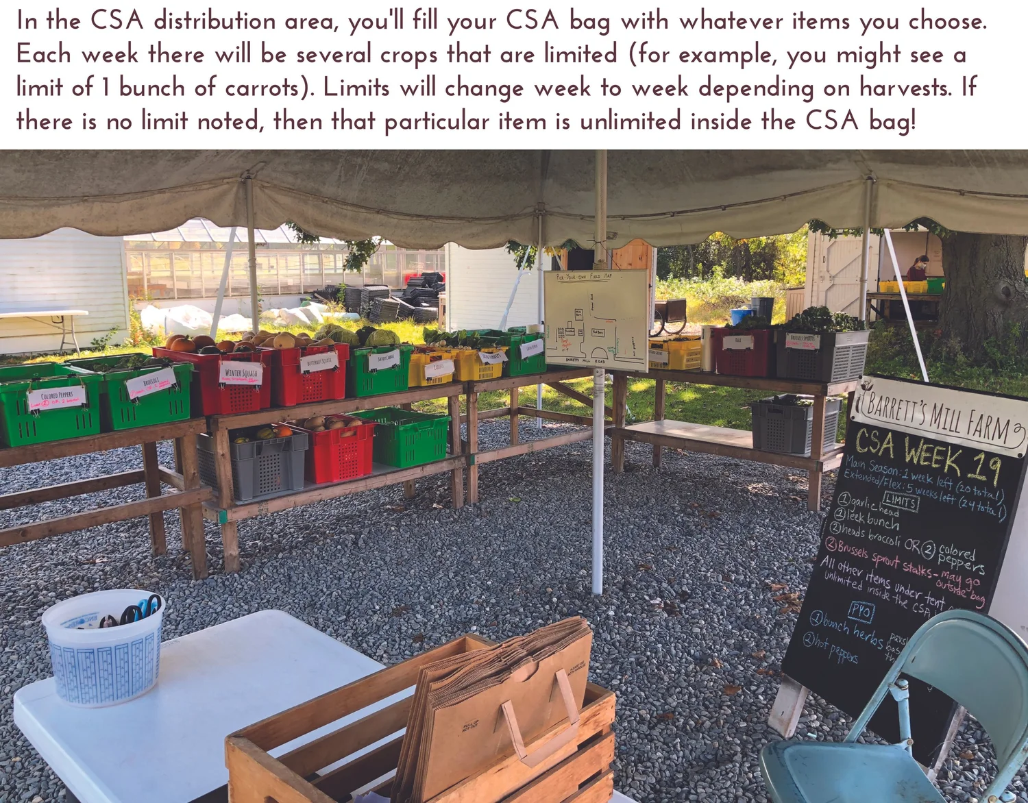 Photo Tour of the CSA — Barrett's Mill Farm | CSA & Farm Store