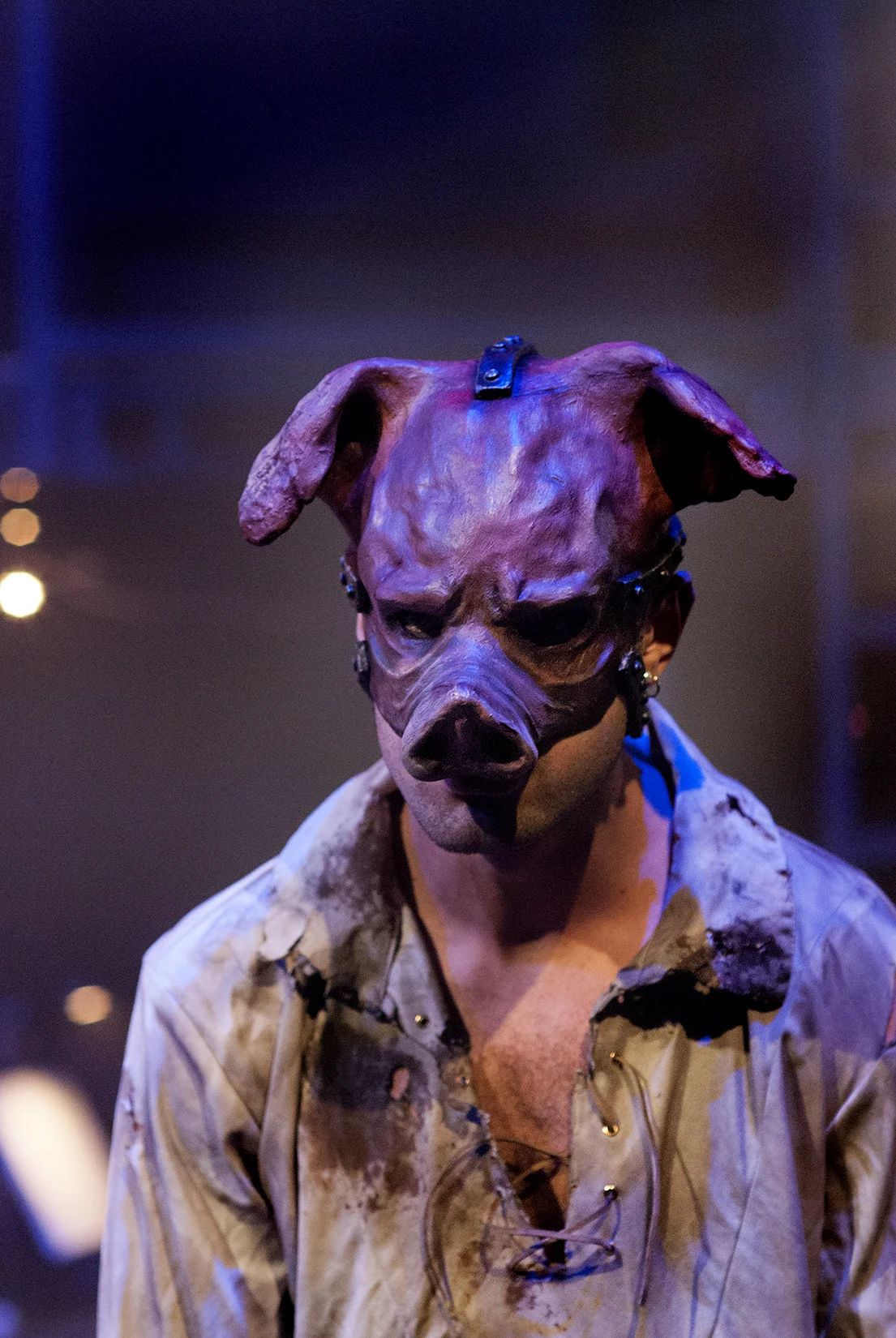 Gallery — Dan D'Souza