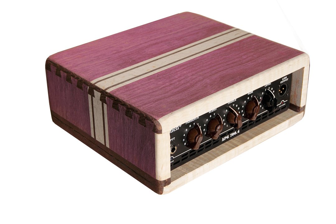 Ashen Custom Bass and Guitar Gear-Ashen APG1000.2 Bass Amplifier 1000 Watts