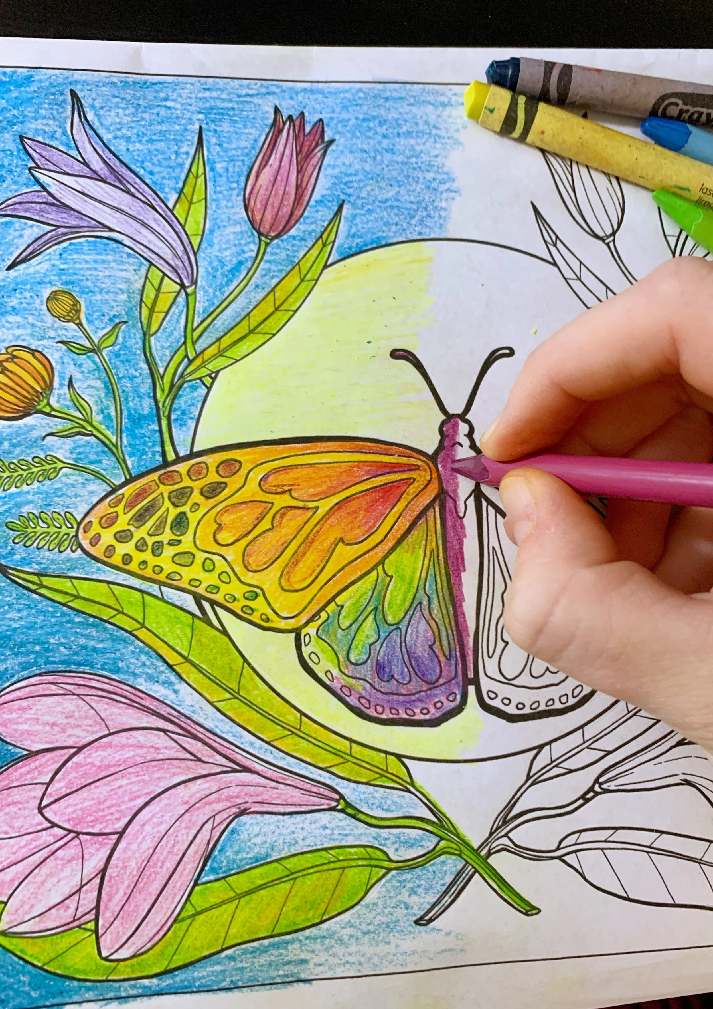 Free Coloring Pages Sarah Week