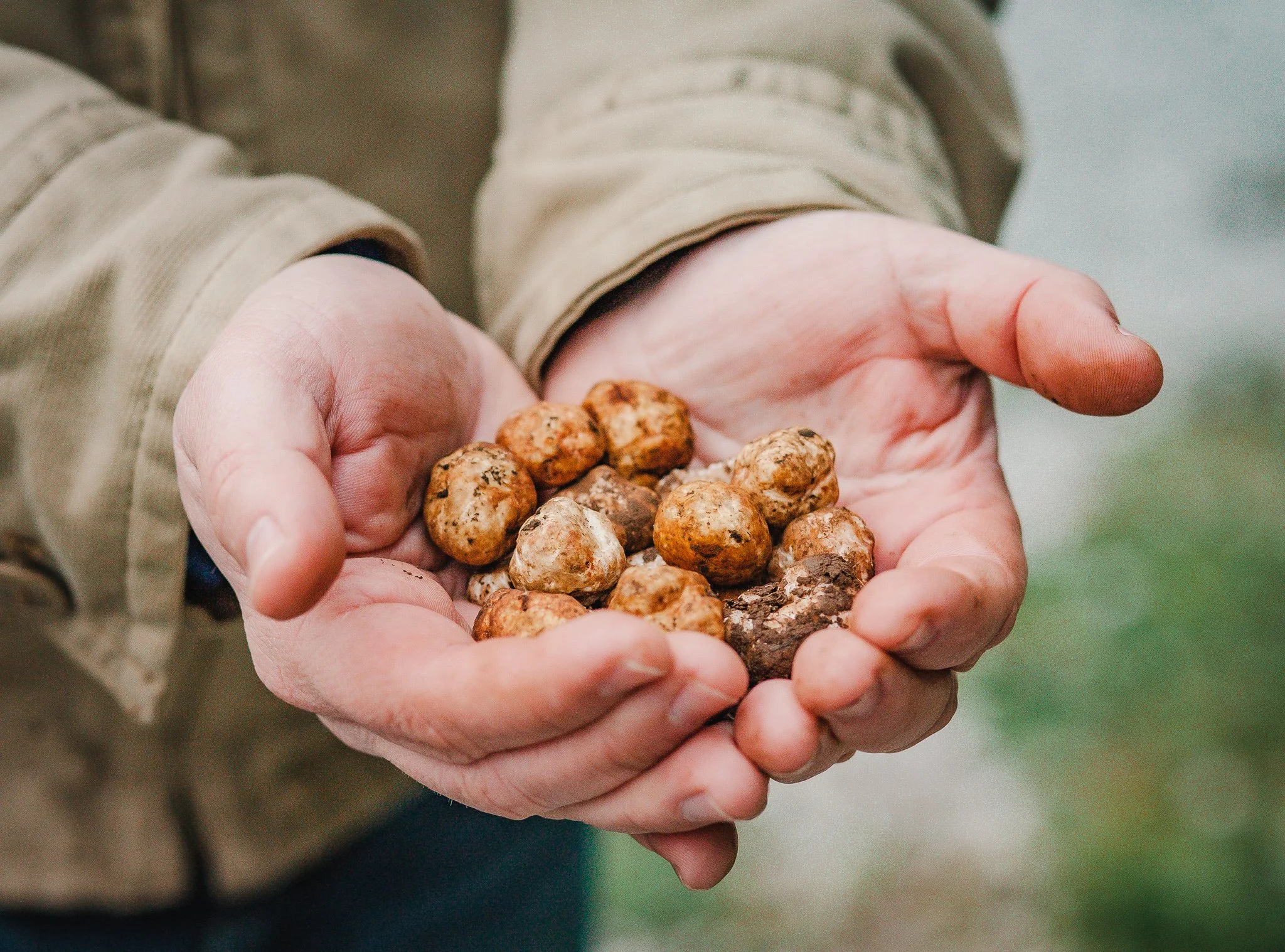 Truffle Tours — Black Tie Tours