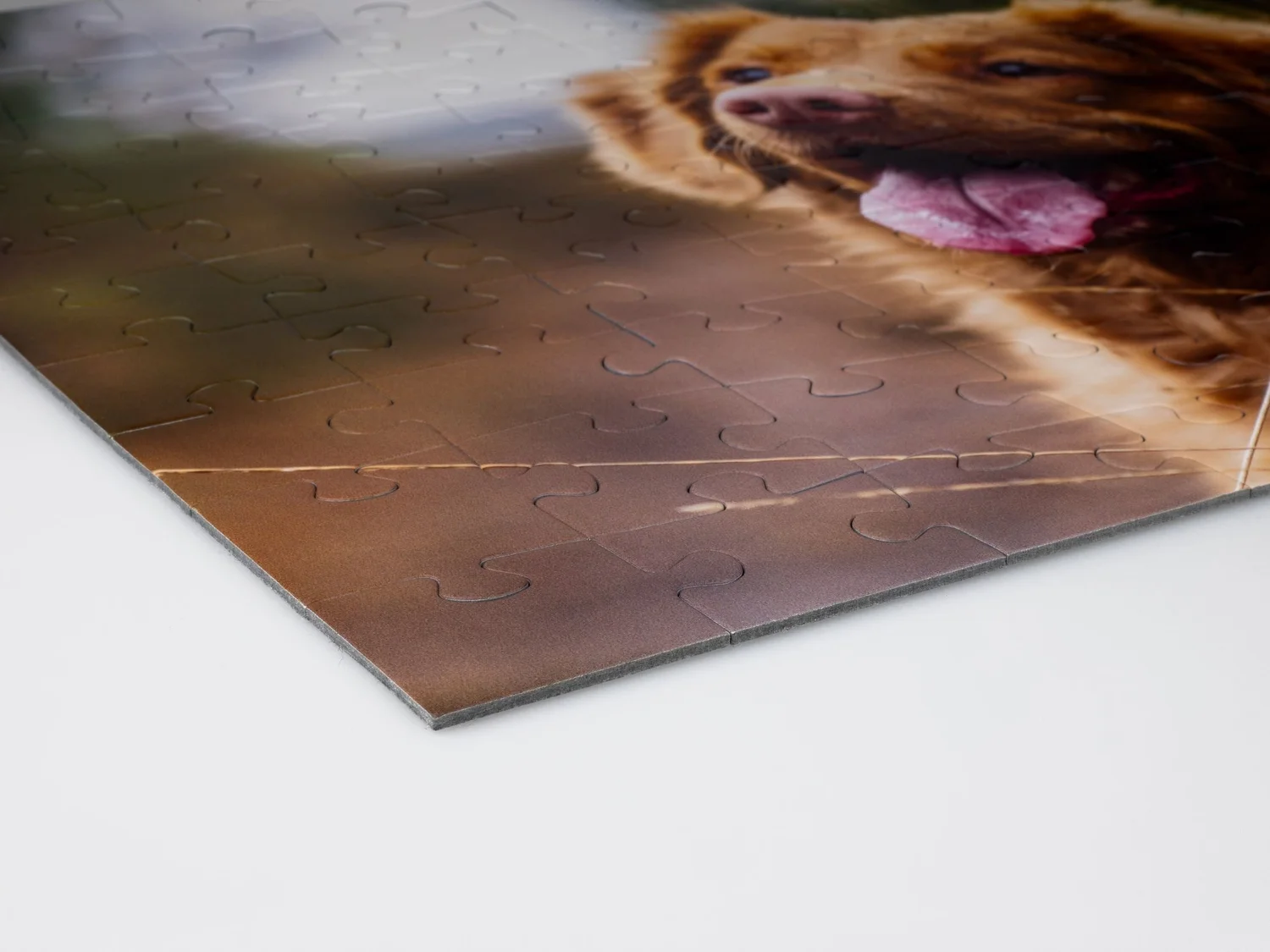 Puzzle z fotky BONTIA