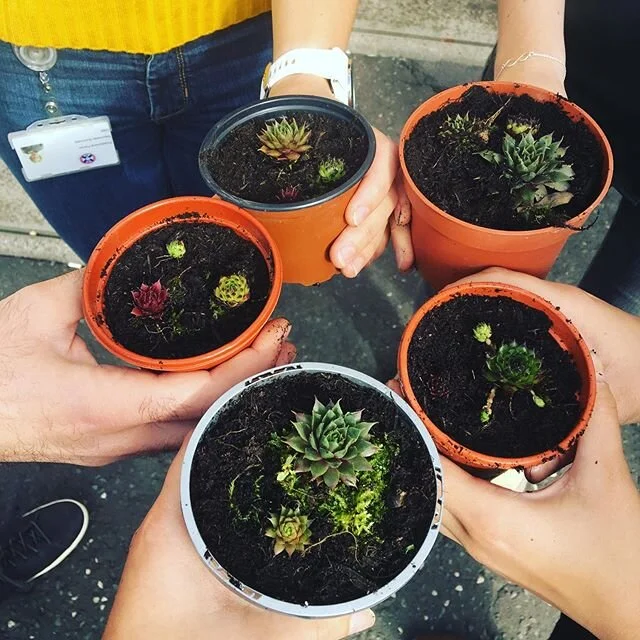 Sarah Neely, in conversation — Lyons Lab