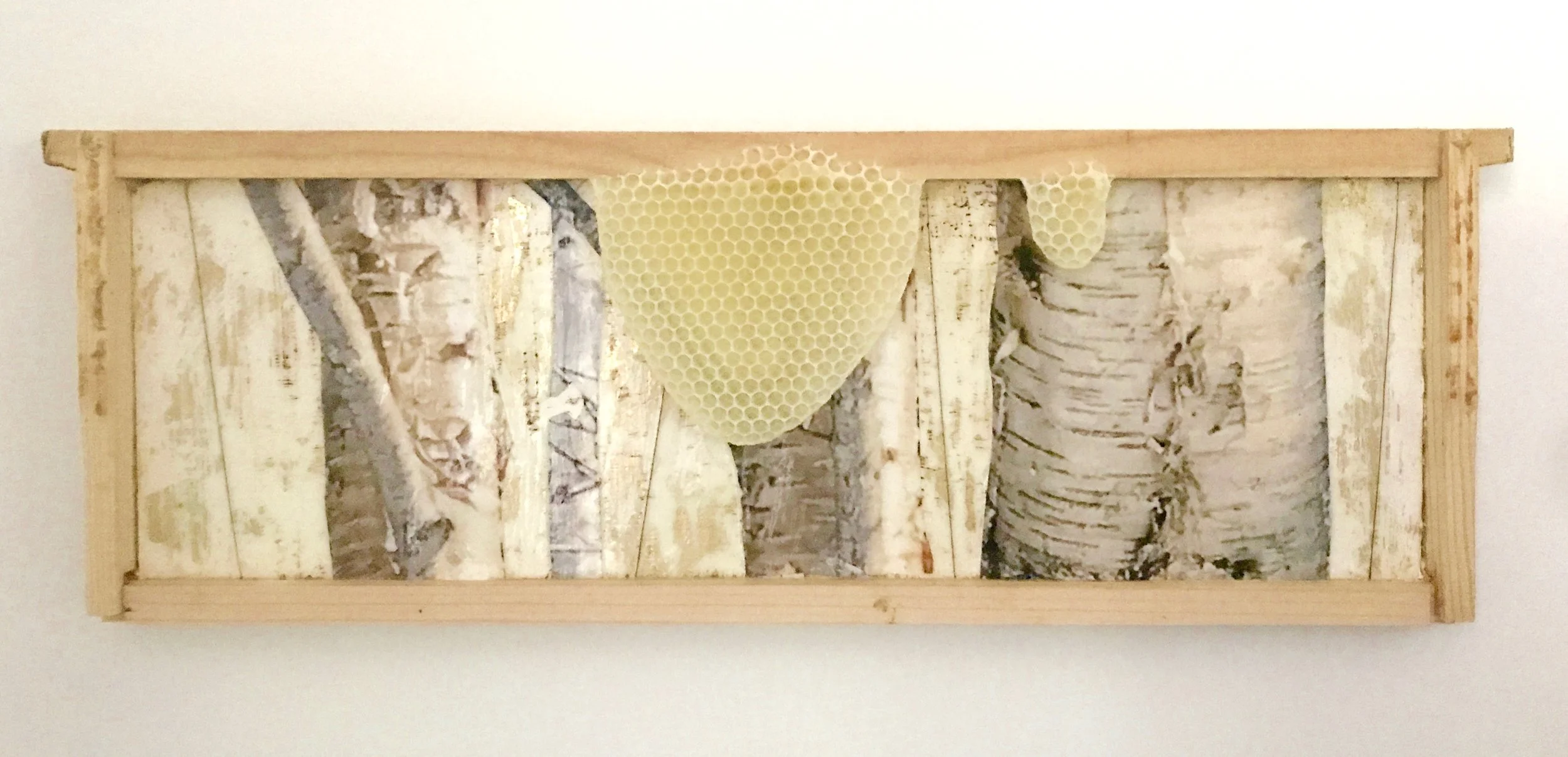 Honeycomb Collection — AVA ROTH