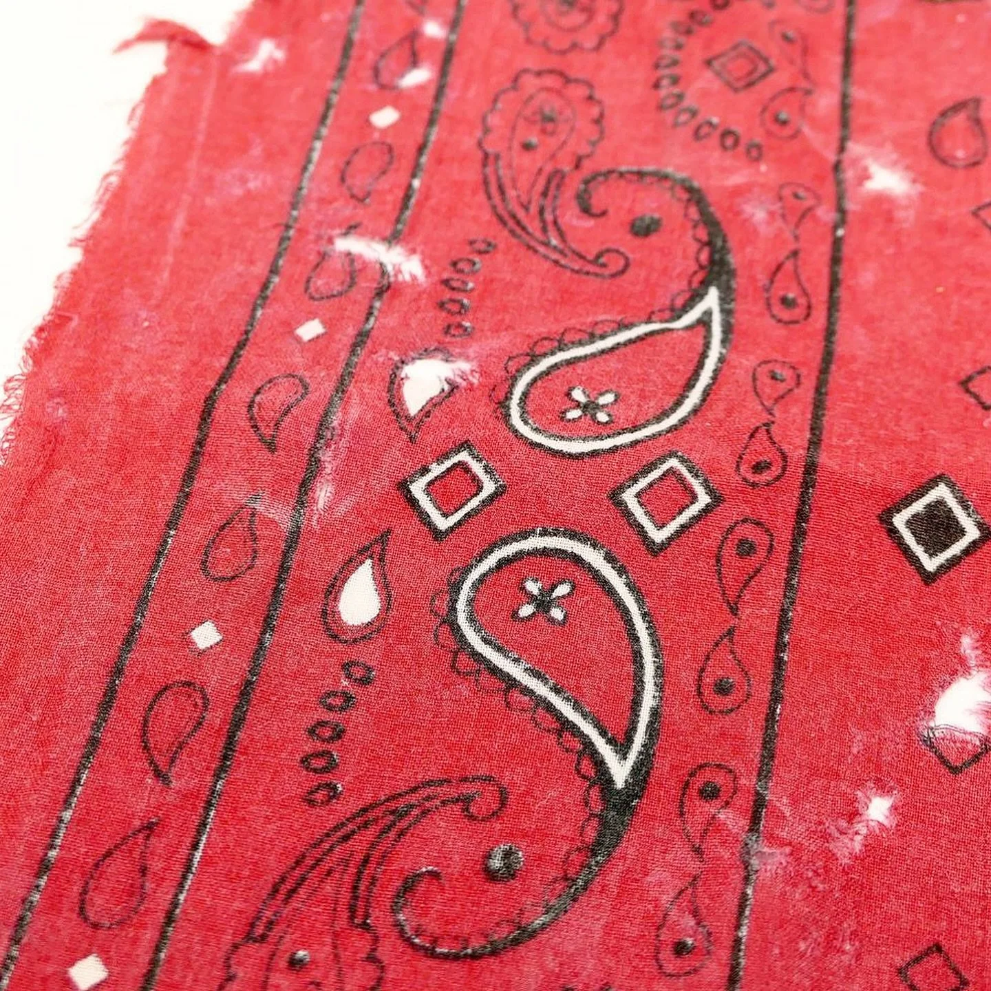 A Symbol of Solidarity: Unveiling Hub Bane's Historic Red Bandana from ...