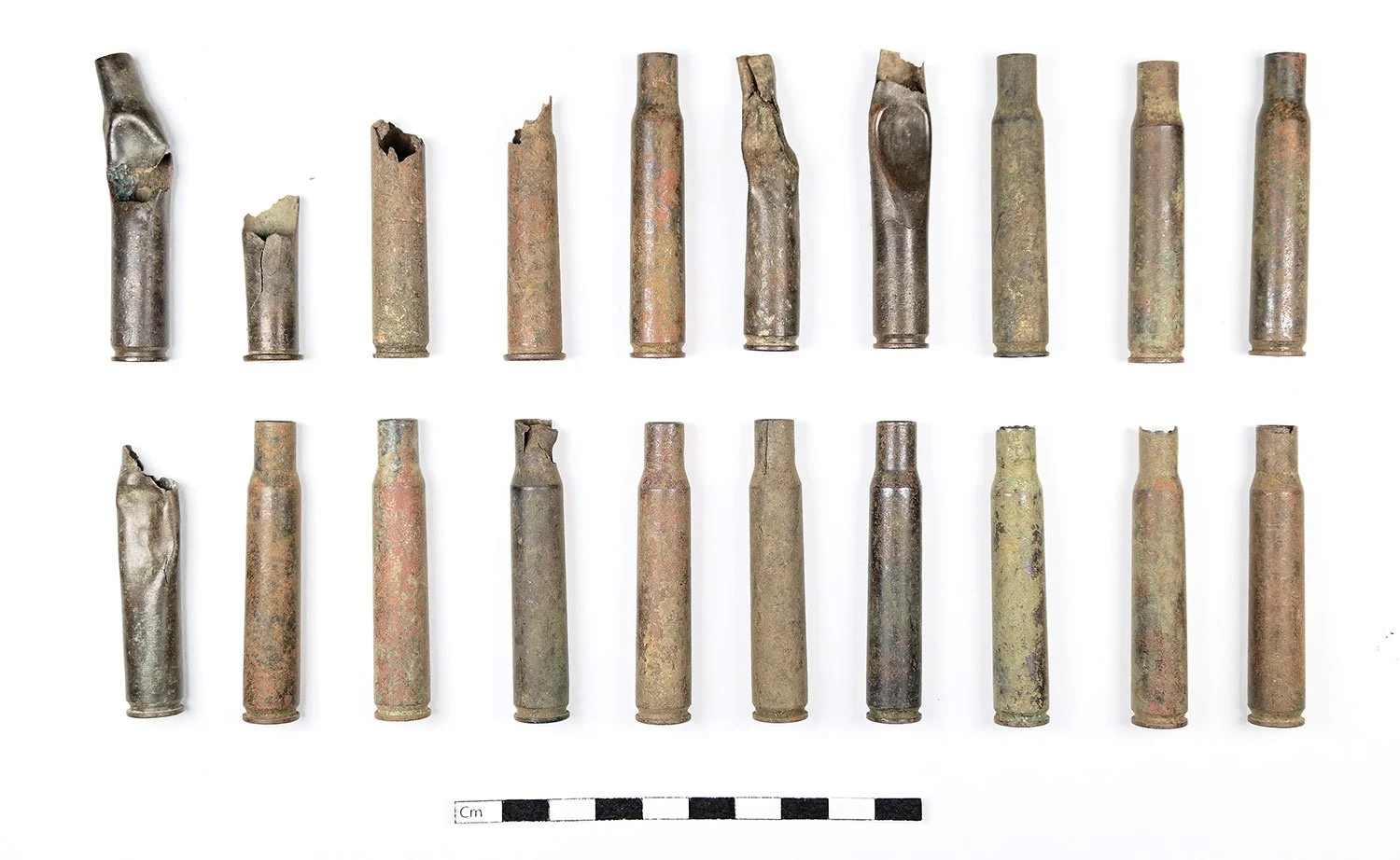 Fire on the Mountain: Taylor Brown’s new novel Rednecks — West Virginia ...