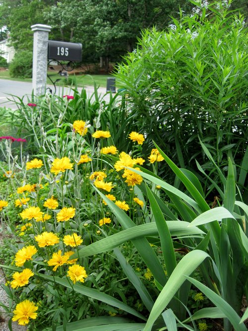 Gardening in the Hellstrip — Enchanted Gardens