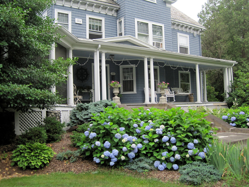 Endless Summer, Endless Bloom — Enchanted Gardens