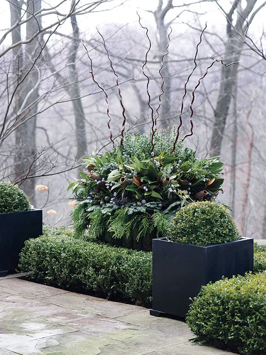 Tips for Winter Pots — Enchanted Gardens