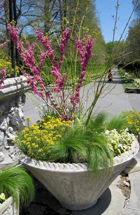 A Dozen Dazzling Spring Containers — Enchanted Gardens