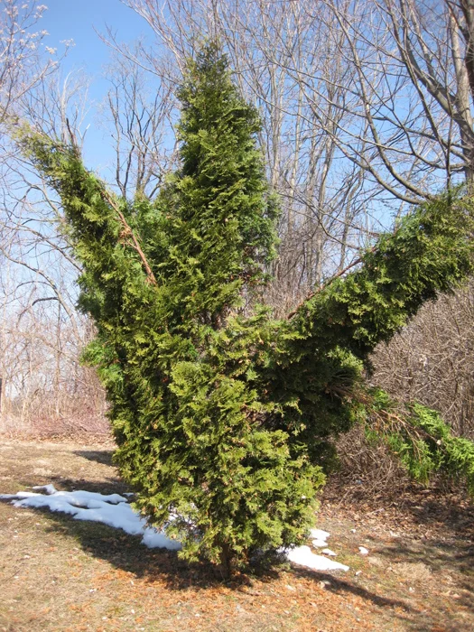 Gardening in March: 10 Things You Can Do to Prepare for Spring ...