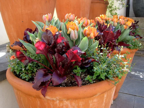 Inspiring Containers from Chanticleer — Enchanted Gardens