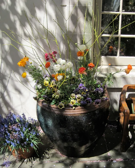 Inspiring Containers from Chanticleer — Enchanted Gardens