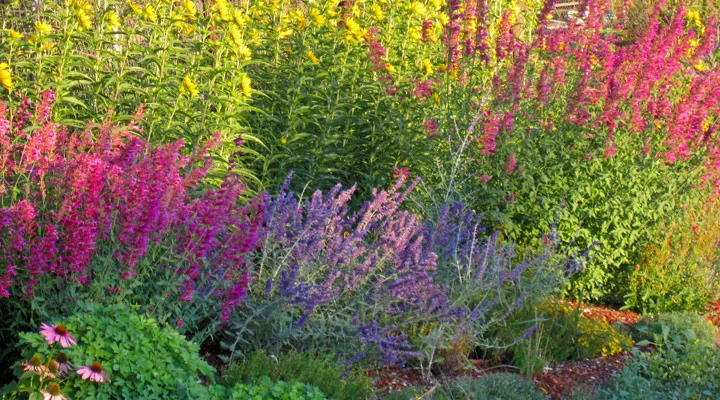 10 Favorite Mail-Order Nurseries — Enchanted Gardens