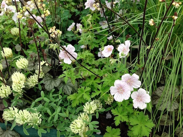 10 Favorite Mail-Order Nurseries — Enchanted Gardens