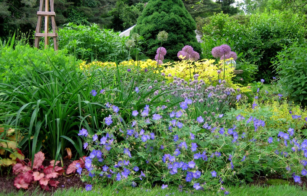 Creating a Layered Garden — Enchanted Gardens