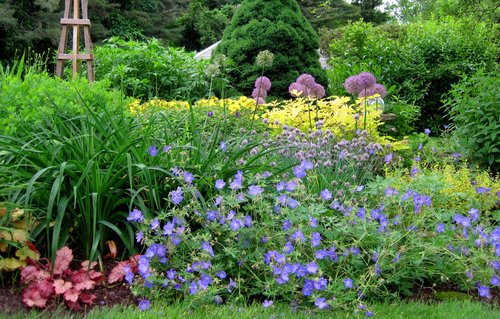 Creating a Layered Garden — Enchanted Gardens