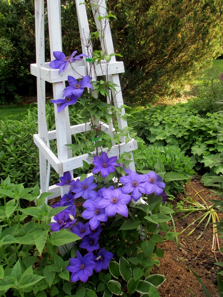 Creating a Layered Garden — Enchanted Gardens