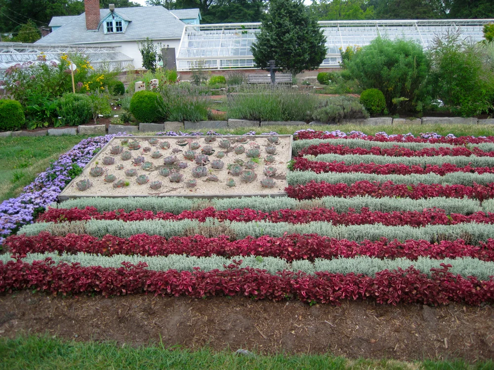 Roses Bloom at Elizabeth Park — Enchanted Gardens