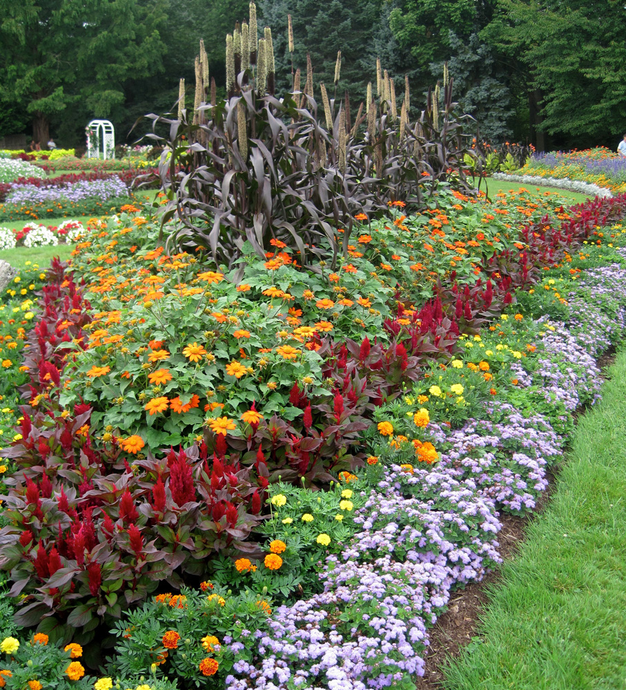 Roses Bloom at Elizabeth Park — Enchanted Gardens