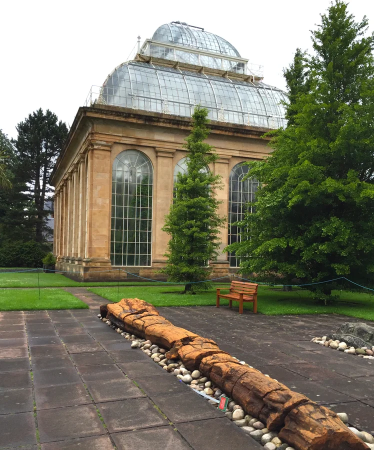 Edinburgh's Beloved Botanic Garden — Enchanted Gardens
