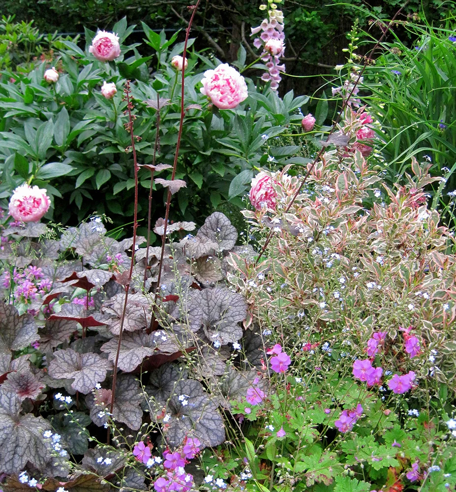 Peony Partners — Enchanted Gardens