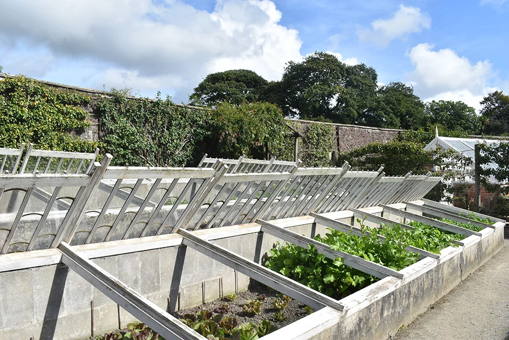 The Lost Gardens of Heligan — Enchanted Gardens