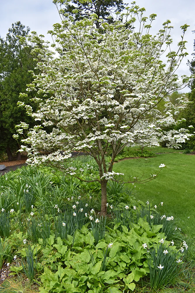 Bamboo Brook—a Beaux Arts Beauty — Enchanted Gardens