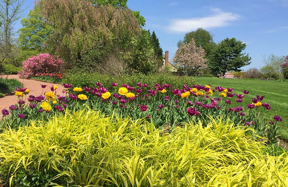 Best Spring Bulb Displays in the Northeast — Enchanted Gardens