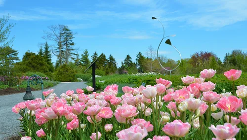 Best Spring Bulb Displays in the Northeast — Enchanted Gardens