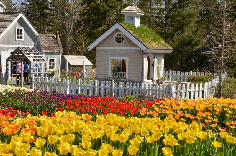 Best Spring Bulb Displays in the Northeast 2022 — Enchanted Gardens
