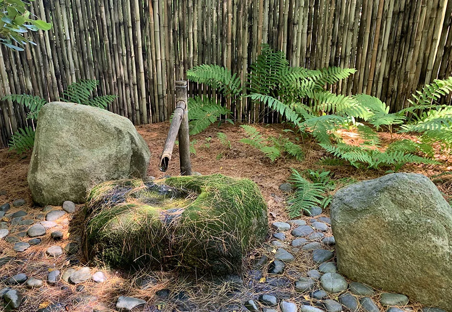 Mytoi: A Serene Island Garden — Enchanted Gardens