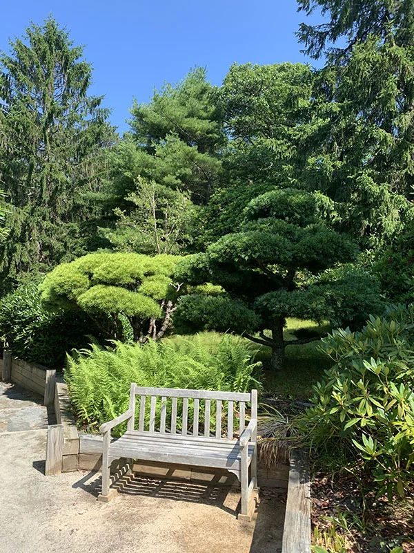 Mytoi: A Serene Island Garden — Enchanted Gardens