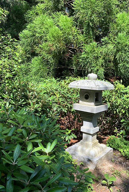 Mytoi: A Serene Island Garden — Enchanted Gardens